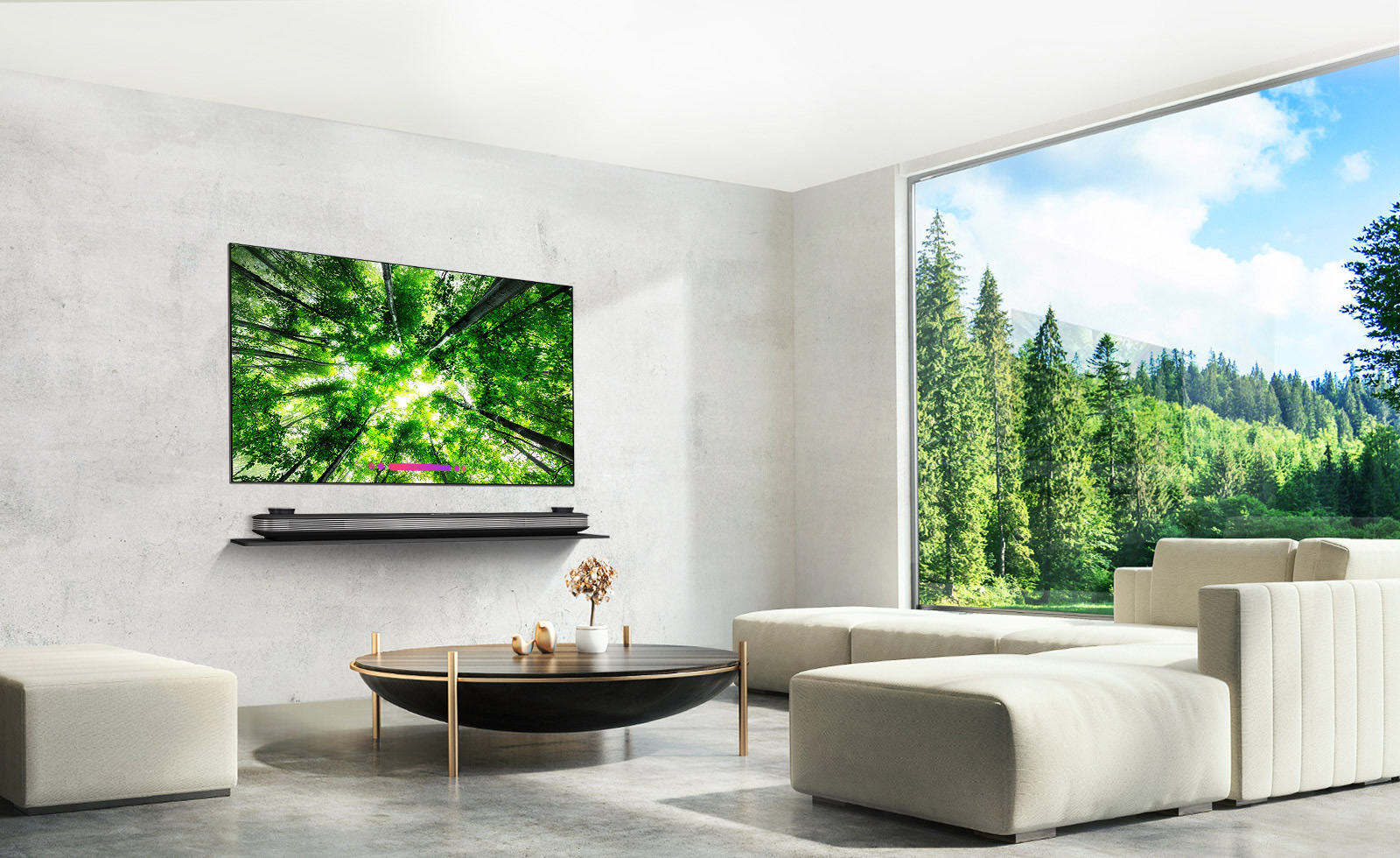 LG 65" OLED WALLPAPER TV - Worlds best OLED - Appliance Outlet